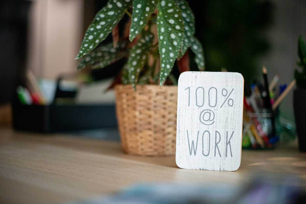 The Economic Benefits of Houseplants for Small Businesses — House Plant ...