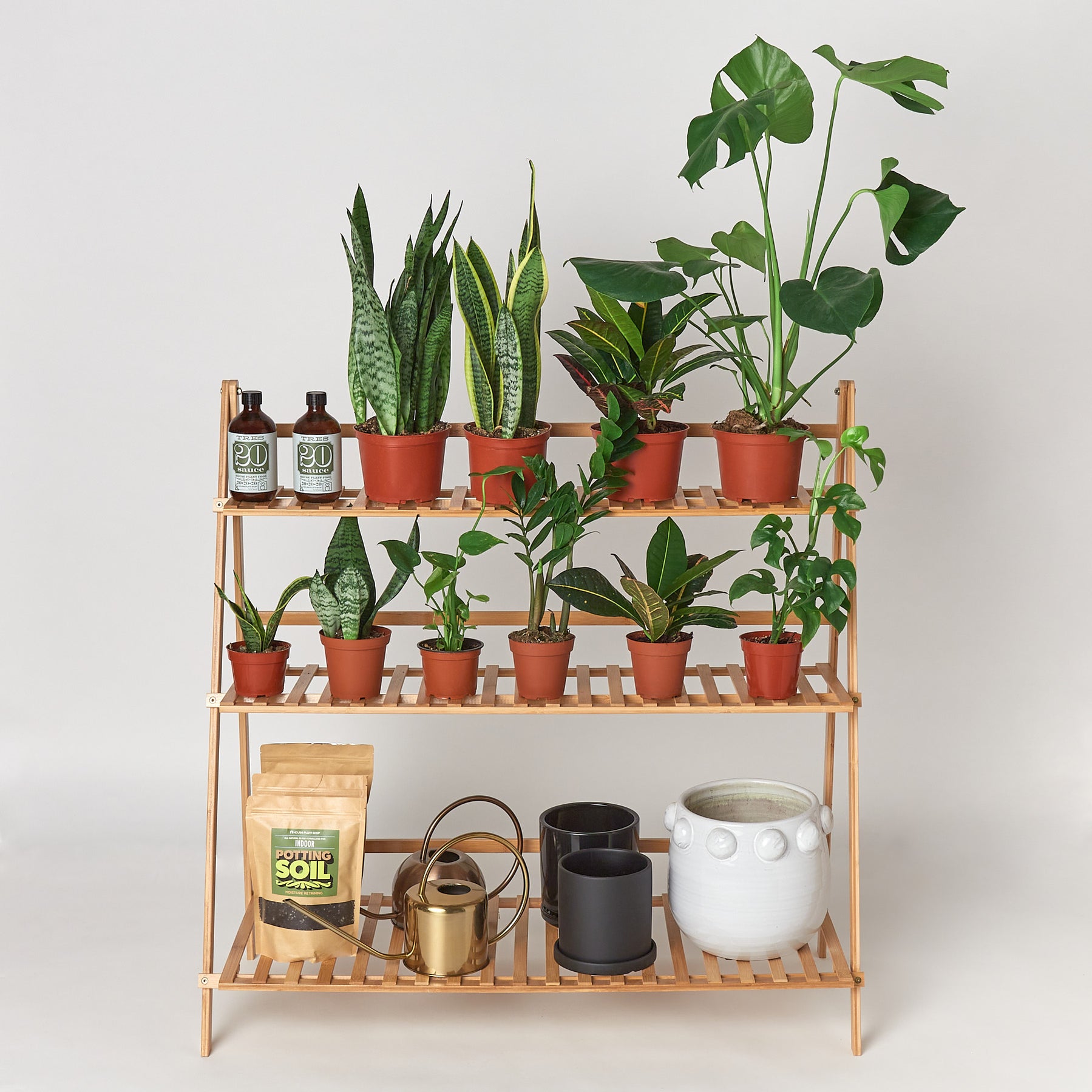House Plant Wholesale | Live Indoor House Plants Shipped Nationwide